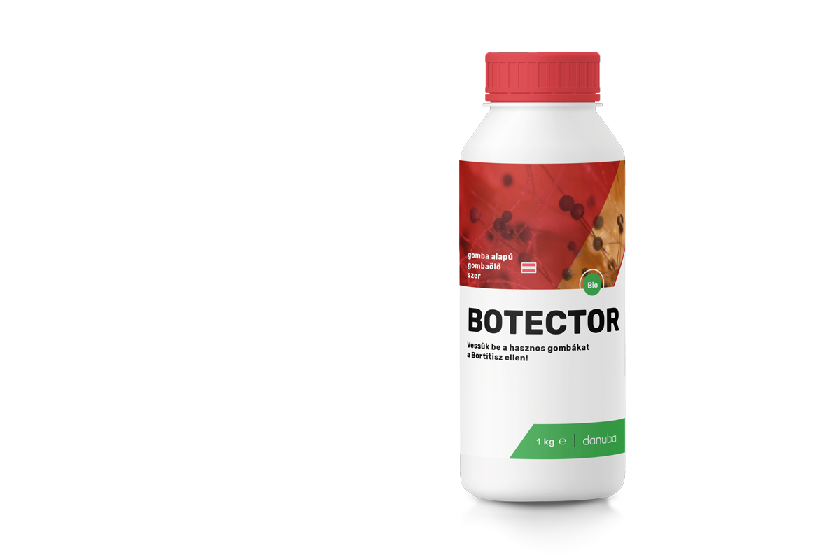 Kezdőlap - Danuba.hu