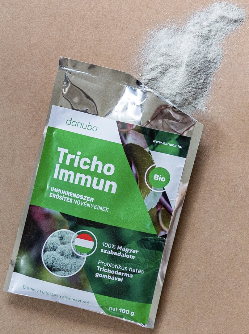 Trichoderma törzsek a növényben