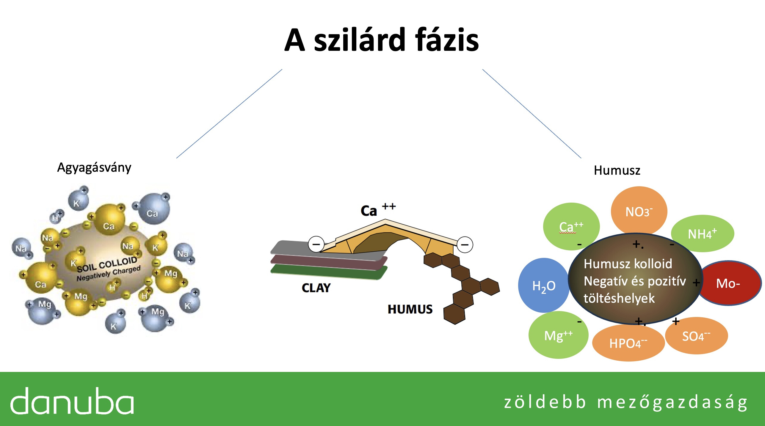 Blackjak - Danuba.hu